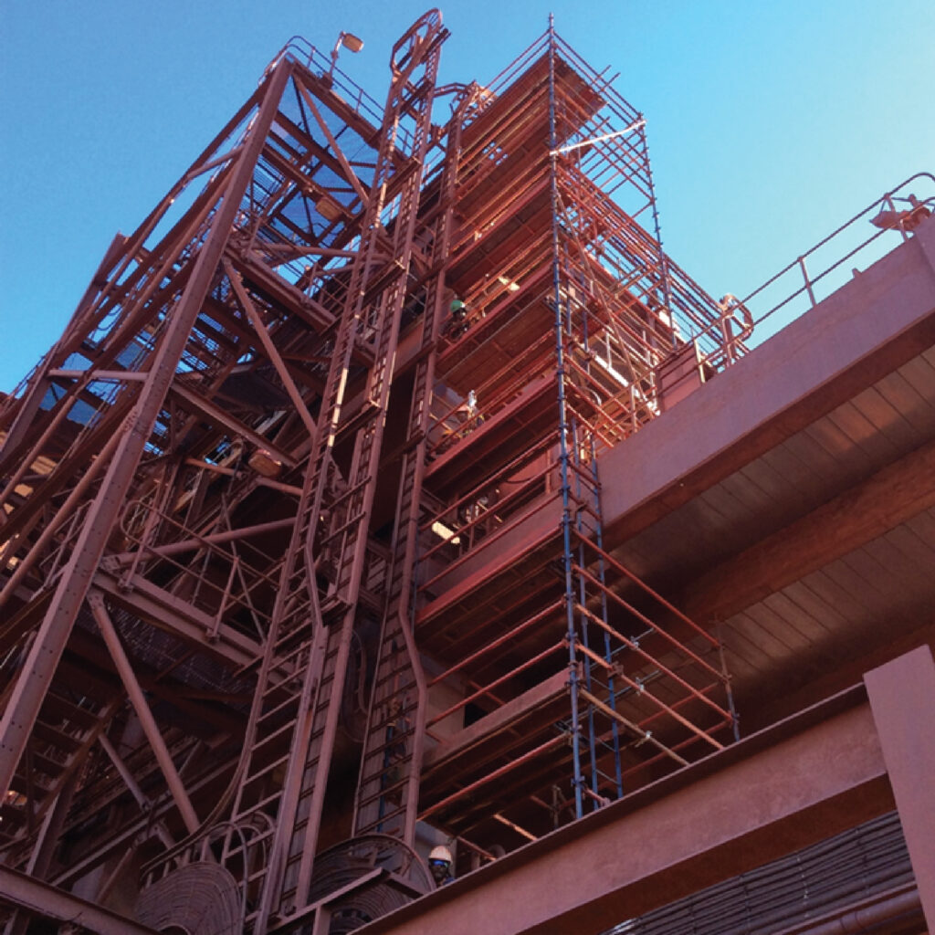 NICHE CONSTRUCTION – ECM